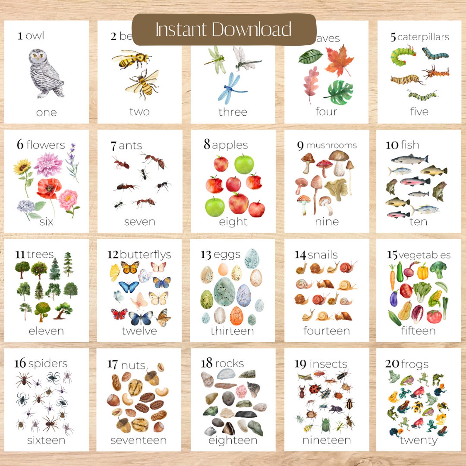 Nature Number Cards Counting Numbers Classroom Math Counting Cards ...