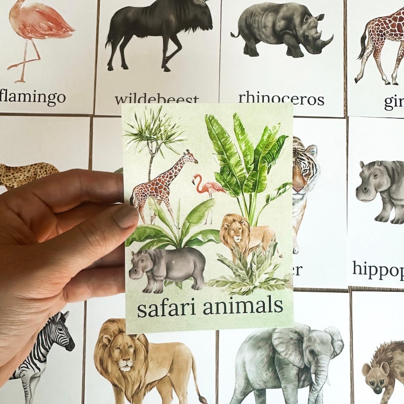 Safari Animal Recognition Cards Jungle Animal Prints for Toddler ...