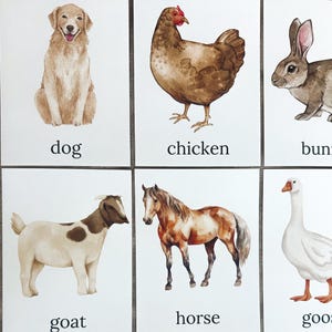 Farm Animal Recognition Cards Farming Prints for Prek and Kindergarten ...
