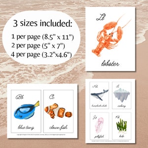 Cursive Ocean Alphabet Flash Cards Ocean Theme Educational Cursive ...