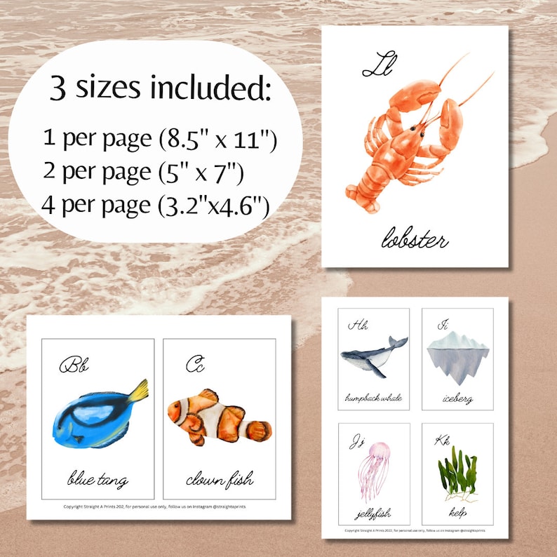Cursive Ocean Alphabet Flash Cards Ocean Theme Educational Cursive ...