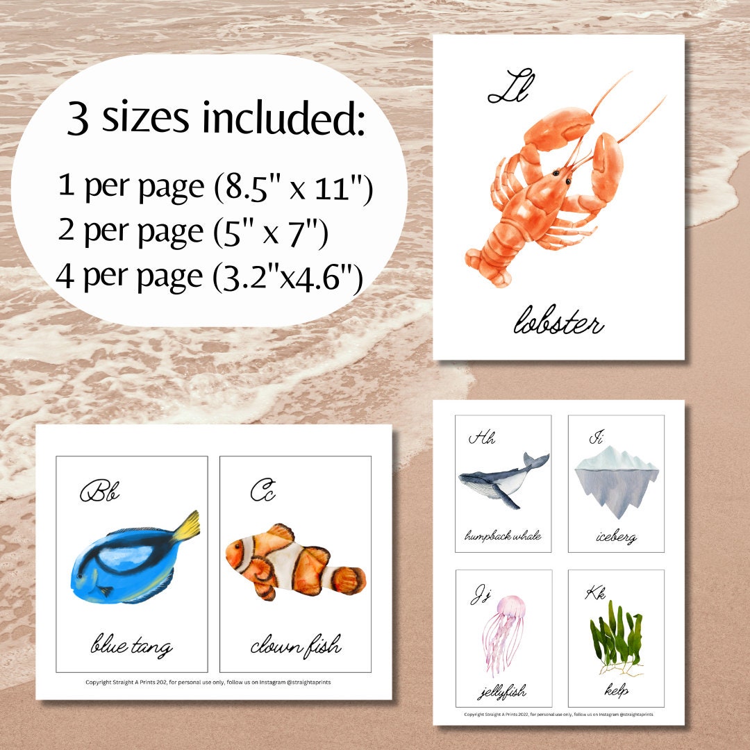Cursive Ocean Alphabet Flash Cards Ocean Theme Educational Cursive ...