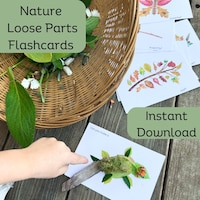 Explore the Wild: A Coloring Adventure Through Habitats | Nature-based ...