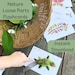 Nature Play Loose Parts Nature Craft Naturalist Outdoor Nature Activity ...
