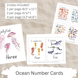 Ocean Number Cards 1-20 Classroom Math Counting Cards Nursery Wall Art ...