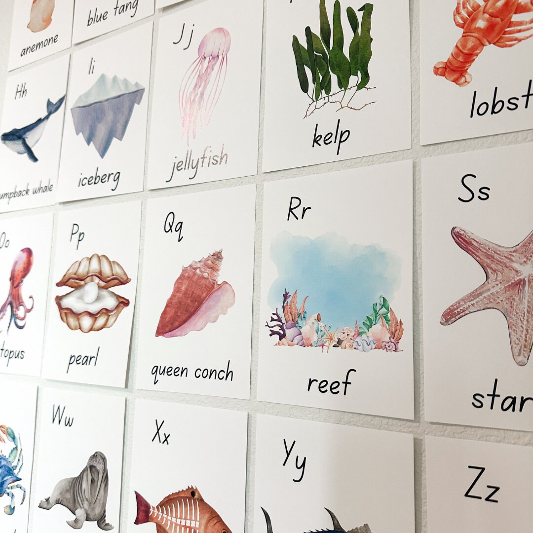 Ocean Alphabet Flash Cards Ocean Theme Flashcards ABC Nature Cards ...