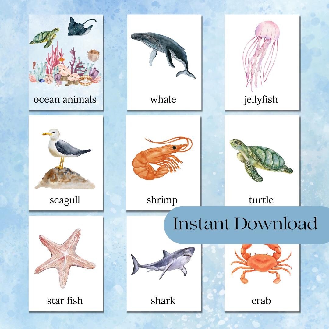 Ocean Animal Cards for Animal Recognition Beachy Prints for Toddler ...