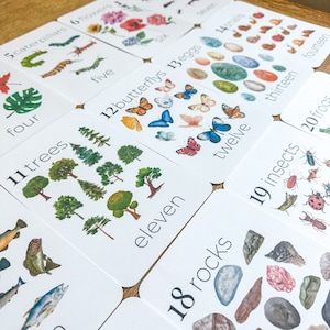 Nature Number Cards 1-20 Classroom Math Counting Cards Nursery Wall Art ...