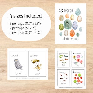 Nature Number Cards Counting Numbers Classroom Math Counting Cards ...