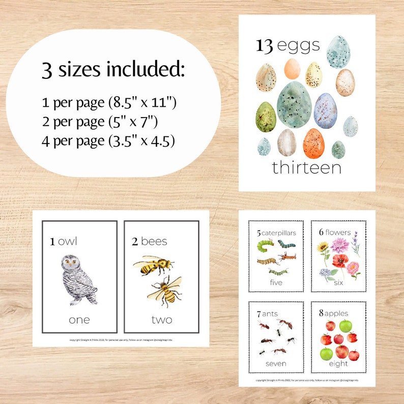 Nature Number Cards Counting Numbers Classroom Math Counting Cards ...