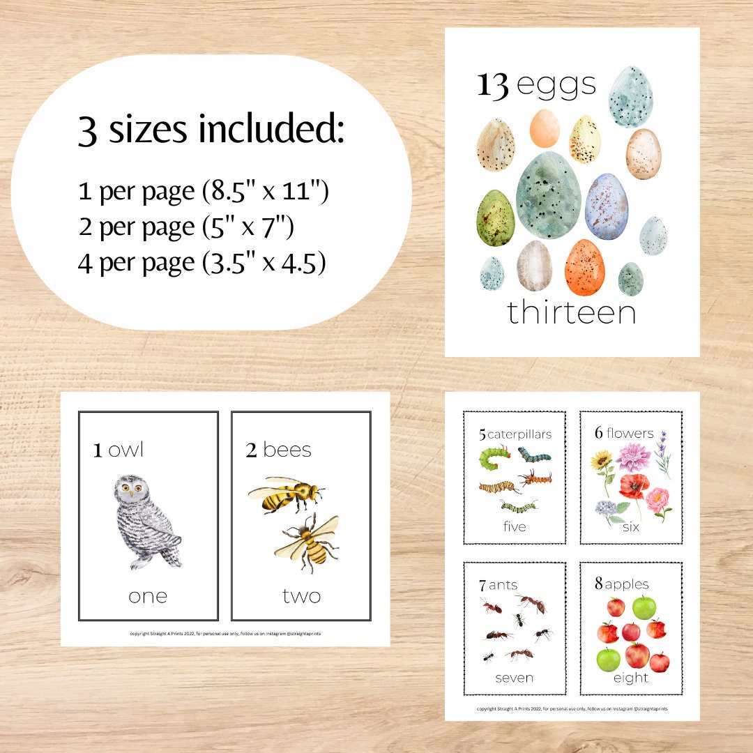 Nature Number Cards Counting Numbers Classroom Math Counting Cards ...