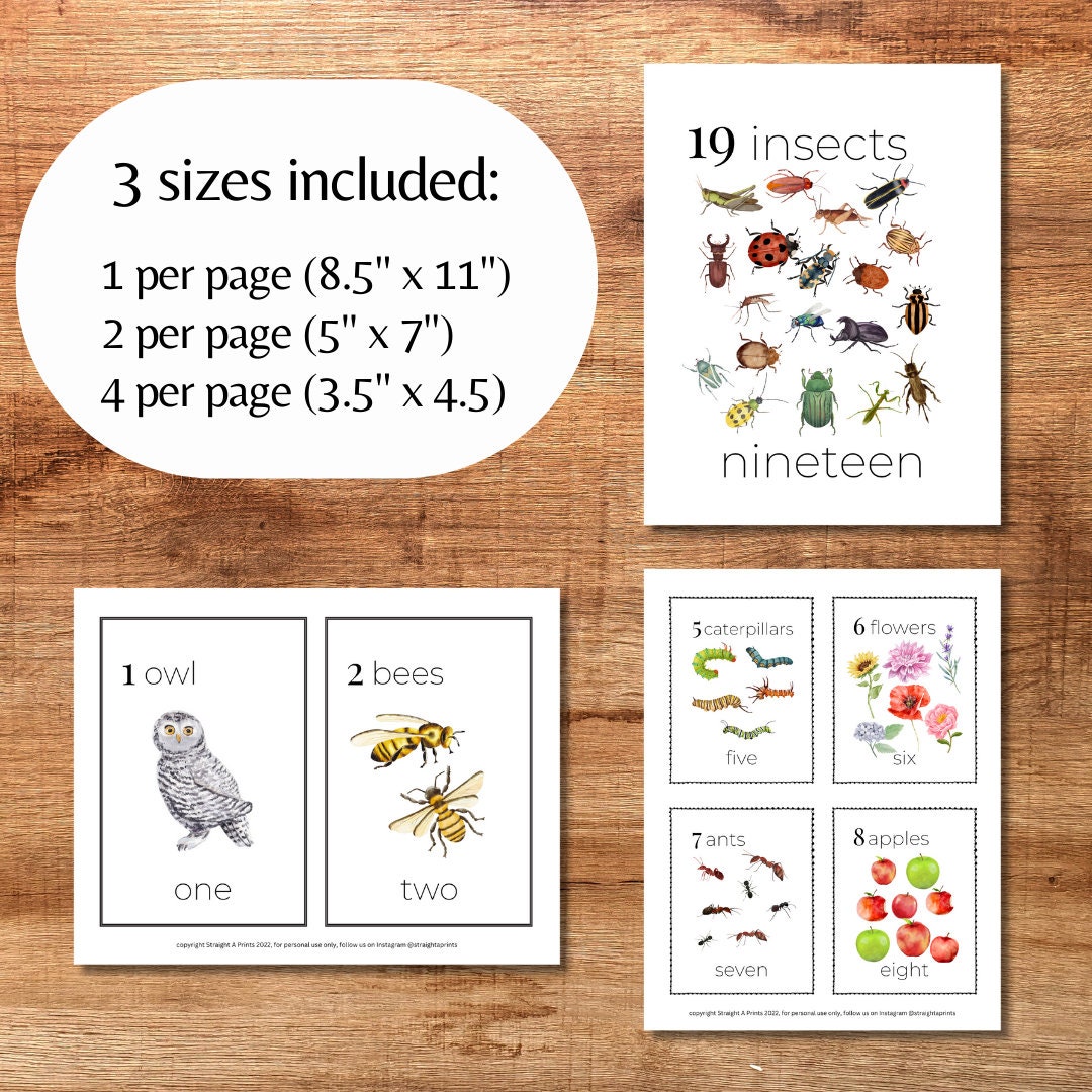 Nature Number Cards Counting Numbers 1-20 Classroom Math Counting Cards ...