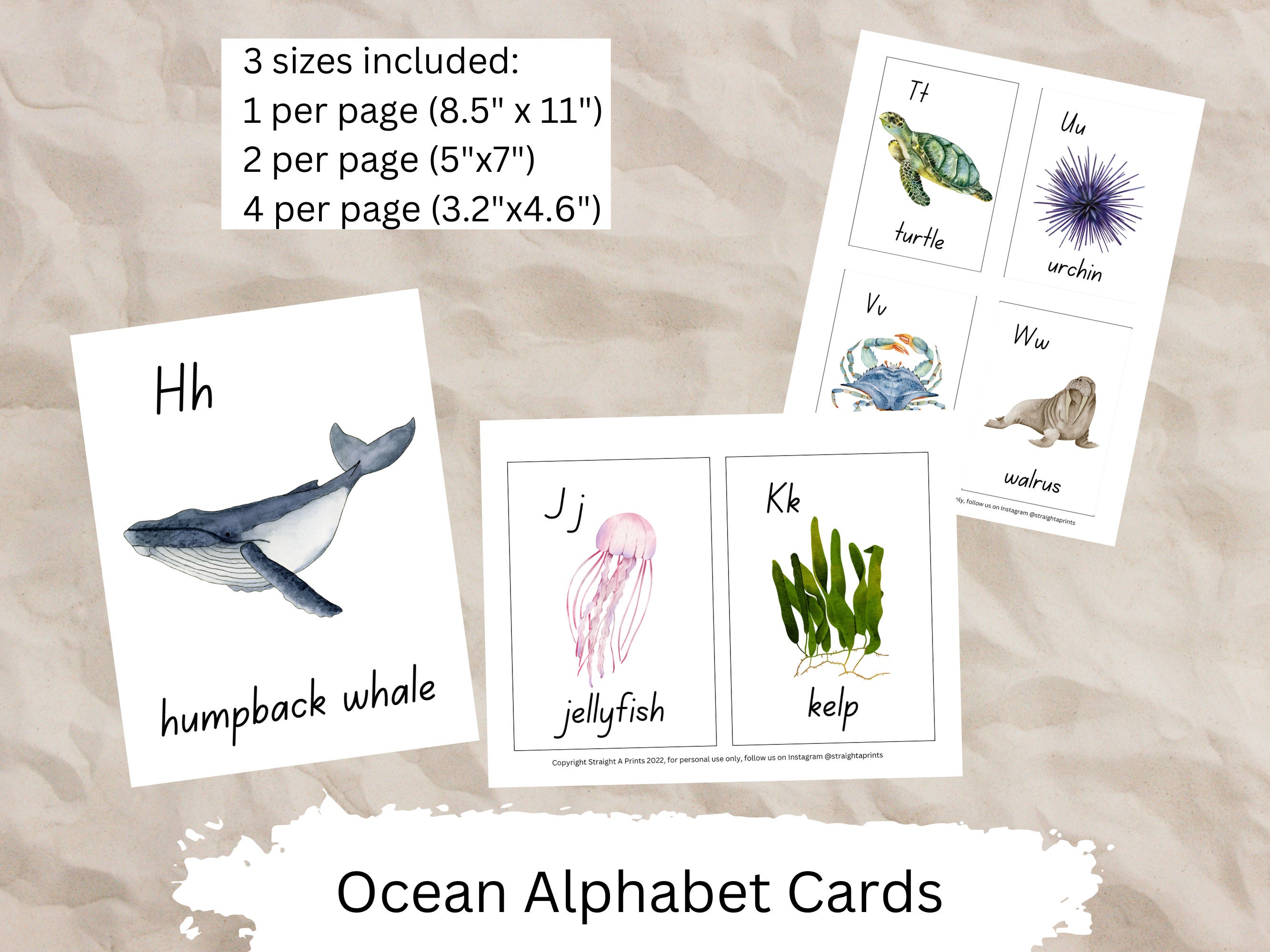 Ocean Bundle / Preschool Nature Bundle / Ocean Flash Cards / - Etsy