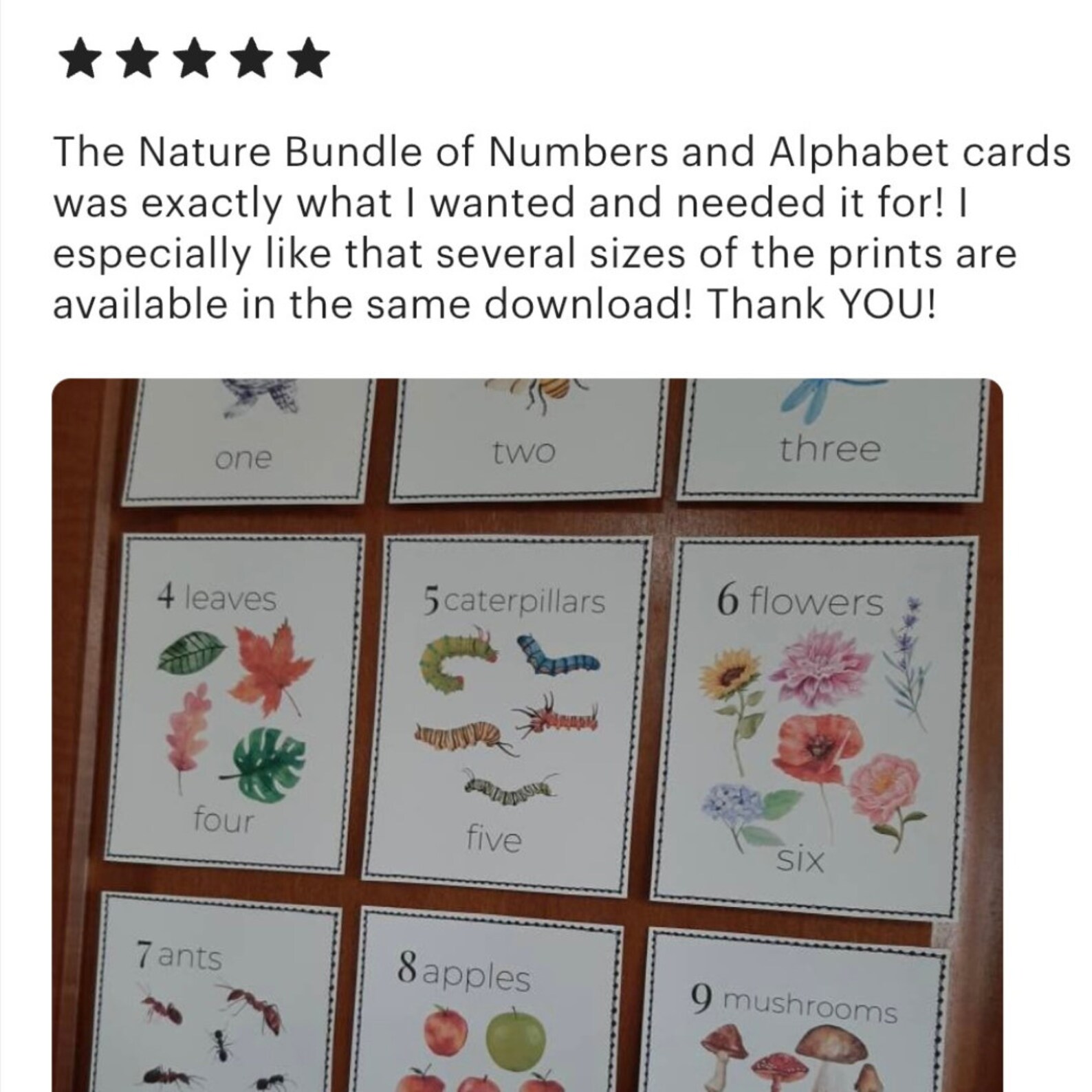 Nature Number Cards Counting Numbers Classroom Math Counting Cards ...