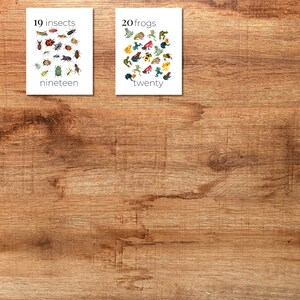 Nature Number Cards 1-20 Classroom Math Counting Cards Nursery Wall Art ...