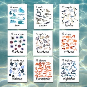 Ocean Number Cards 1-20 Classroom Math Counting Cards Nursery Wall Art ...