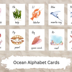 Ocean Alphabet Flash Cards / Ocean Theme Flashcards / ABC Cards ...