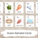 Ocean Alphabet Flash Cards / Ocean Theme Flashcards / ABC Cards ...