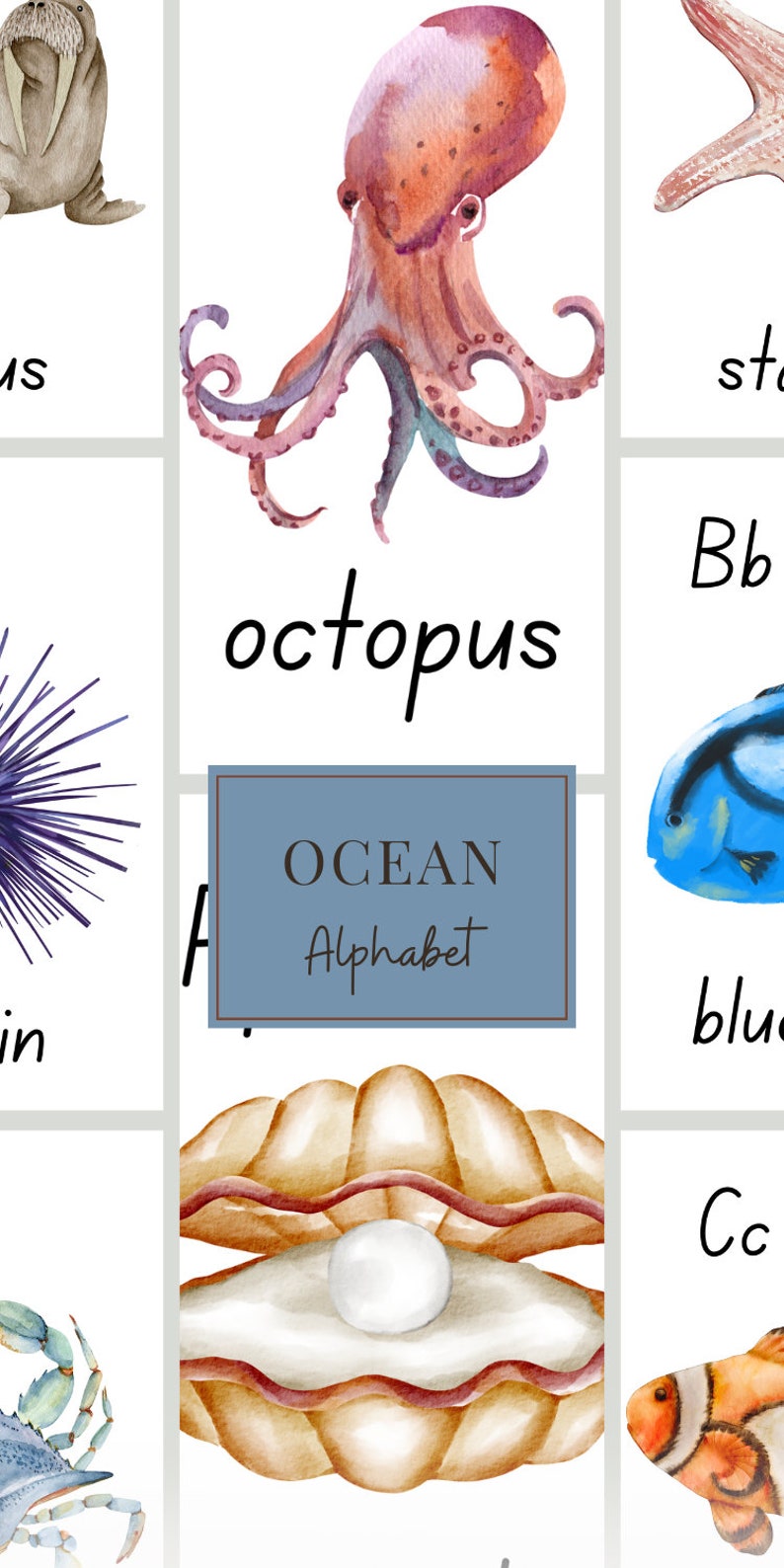 Ocean Alphabet Flash Cards Ocean Theme Flashcards ABC Nature Cards ...
