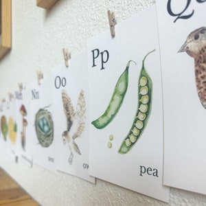 Nature Alphabet Cards Watercolor ABC Flashcards Birthday Gift for Kids ...