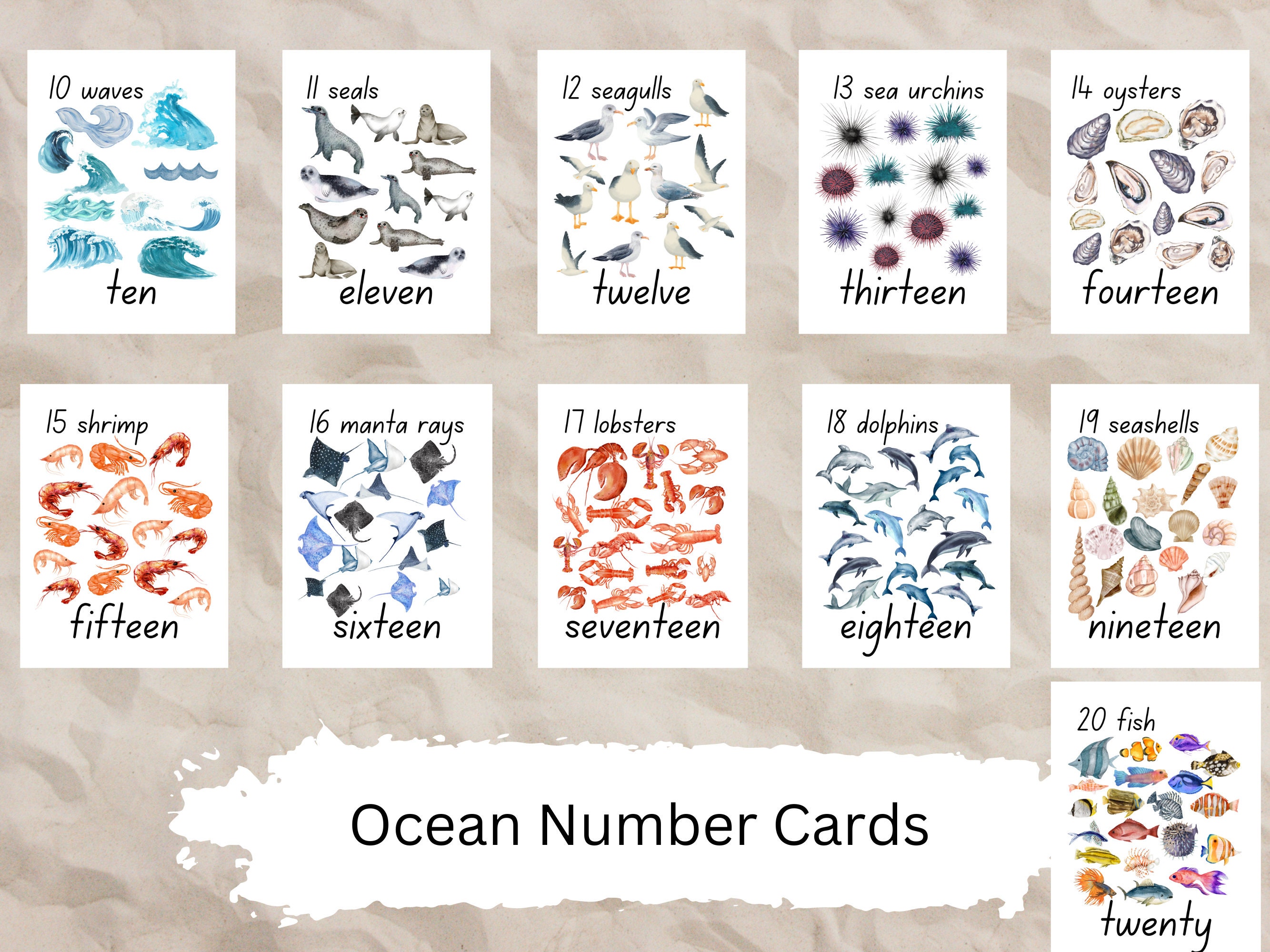 Ocean Bundle / Preschool Nature Bundle / Ocean Flash Cards / - Etsy