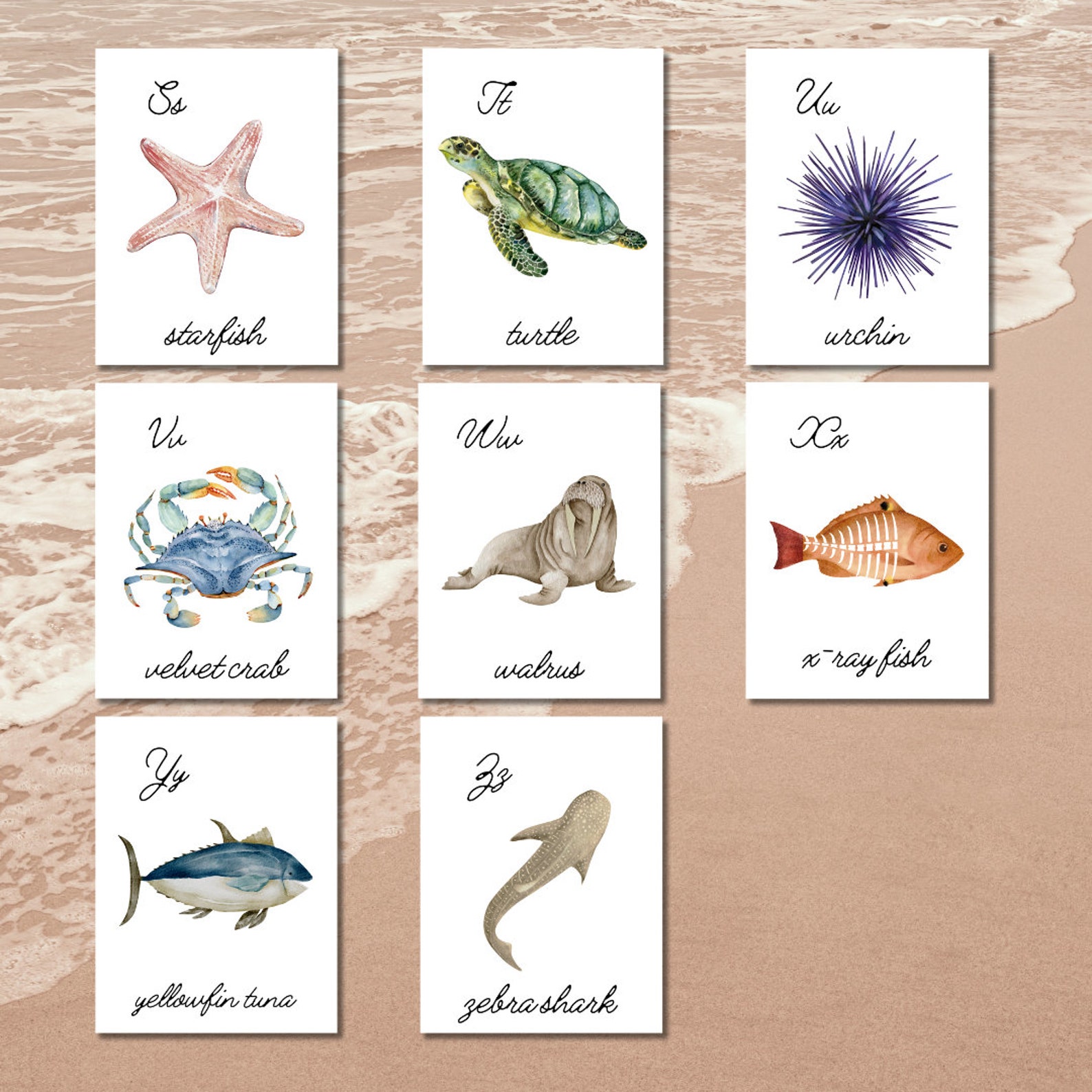 Cursive Ocean Alphabet Flash Cards Ocean Theme Educational Cursive ...
