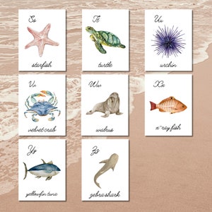 Cursive Ocean Alphabet Flash Cards Ocean Theme Educational Cursive ...