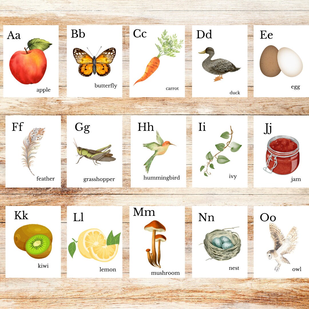 Nature Alphabet Cards / Watercolor ABC Flashcards / Christmas Gift for ...