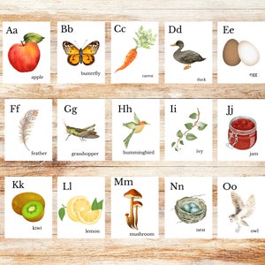 Nature Alphabet Cards / Watercolor ABC Flashcards / Christmas - Etsy