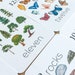 Nature Number Cards Counting Numbers Classroom Math Counting Cards ...