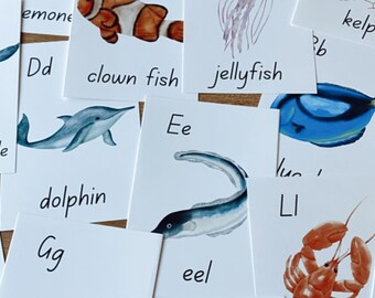 Ocean Alphabet Flash Cards / Ocean Theme Flashcards / ABC - Etsy
