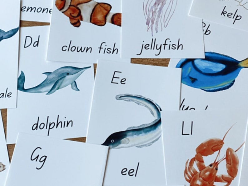 Ocean Alphabet Flash Cards / Ocean Theme Flashcards / ABC - Etsy