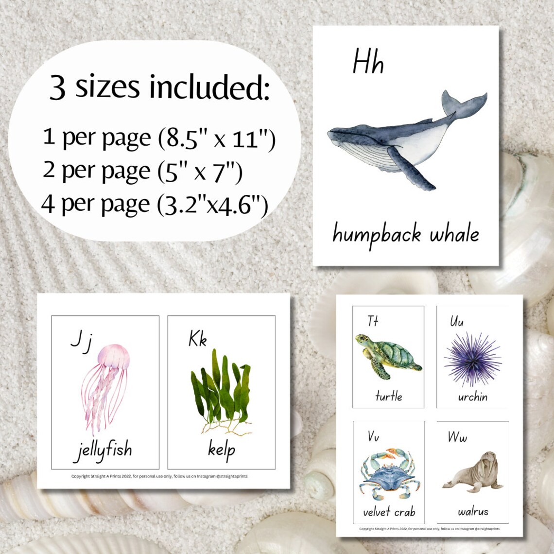 Ocean Alphabet Flash Cards Ocean Theme Educational ABC Cards Watercolor ...