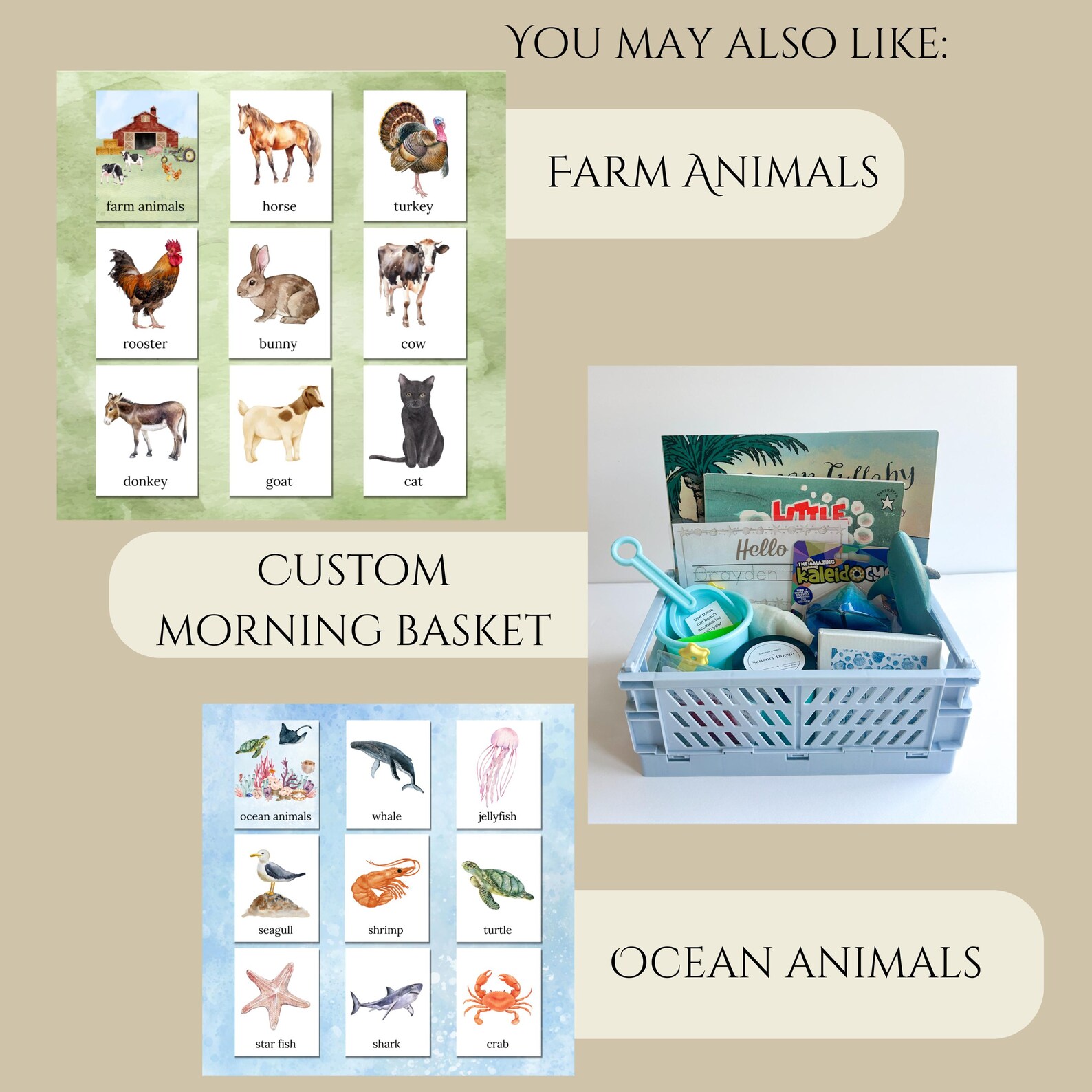 Safari Animal Recognition Cards Jungle Animal Prints for Toddler ...