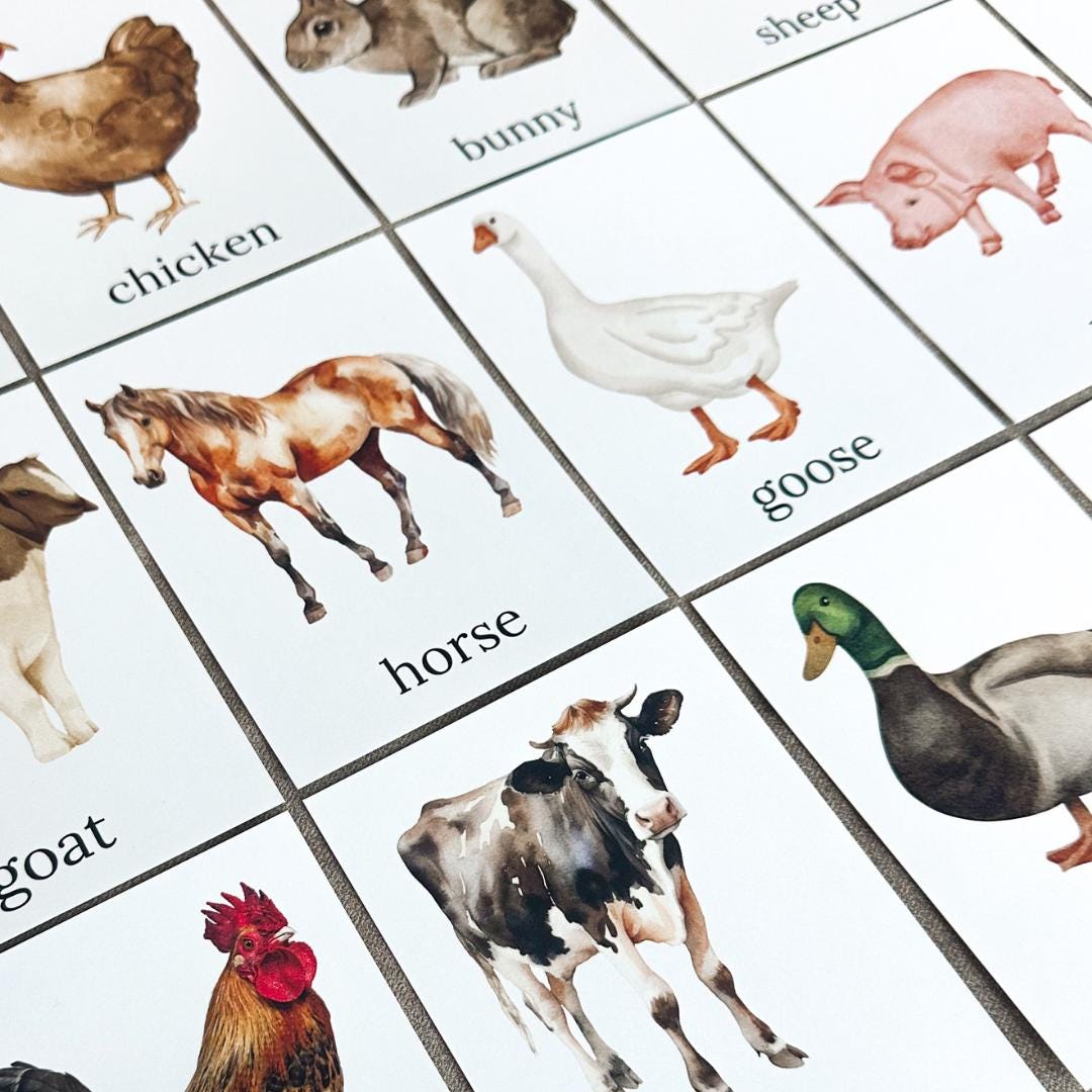 Farm Animal Recognition Cards Farming Prints for Prek and Kindergarten ...