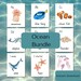 Ocean Bundle Preschool Nature Bundle Ocean Flash Cards Alphabet Flash ...