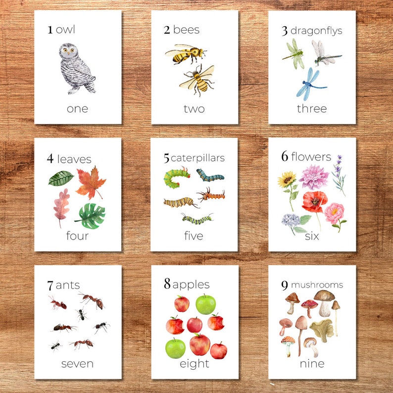 Nature Number Cards 1-20 Classroom Math Counting Cards Nursery Wall Art ...