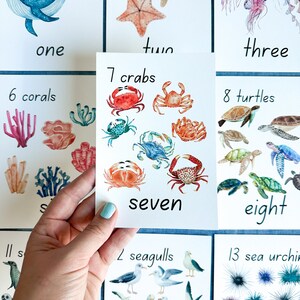 Ocean Number Cards 1-20 Classroom Math Counting Cards Nursery Wall Art ...