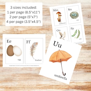 Nature Educational Bundle Preschool Pack Bundle Nature Flash Cards ...