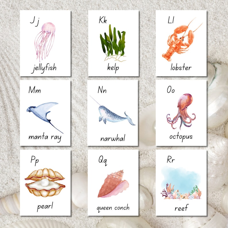 Ocean Alphabet Flash Cards Ocean Theme Flashcards ABC Nature Cards ...