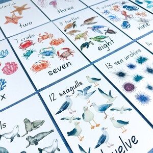 Ocean Number Cards 1-20 Classroom Math Counting Cards Nursery Wall Art ...