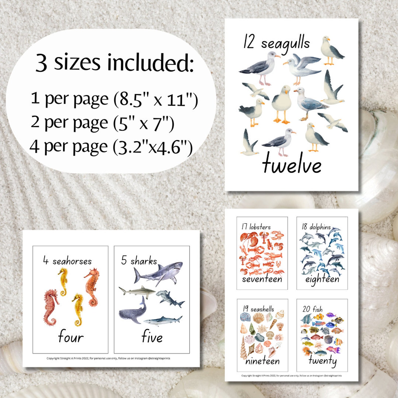 Ocean Bundle Preschool Nature Bundle Ocean Flash Cards Alphabet Flash ...