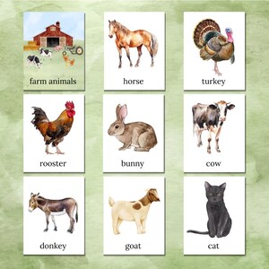 Farm Animal Recognition Cards Farming Prints for Prek and Kindergarten ...
