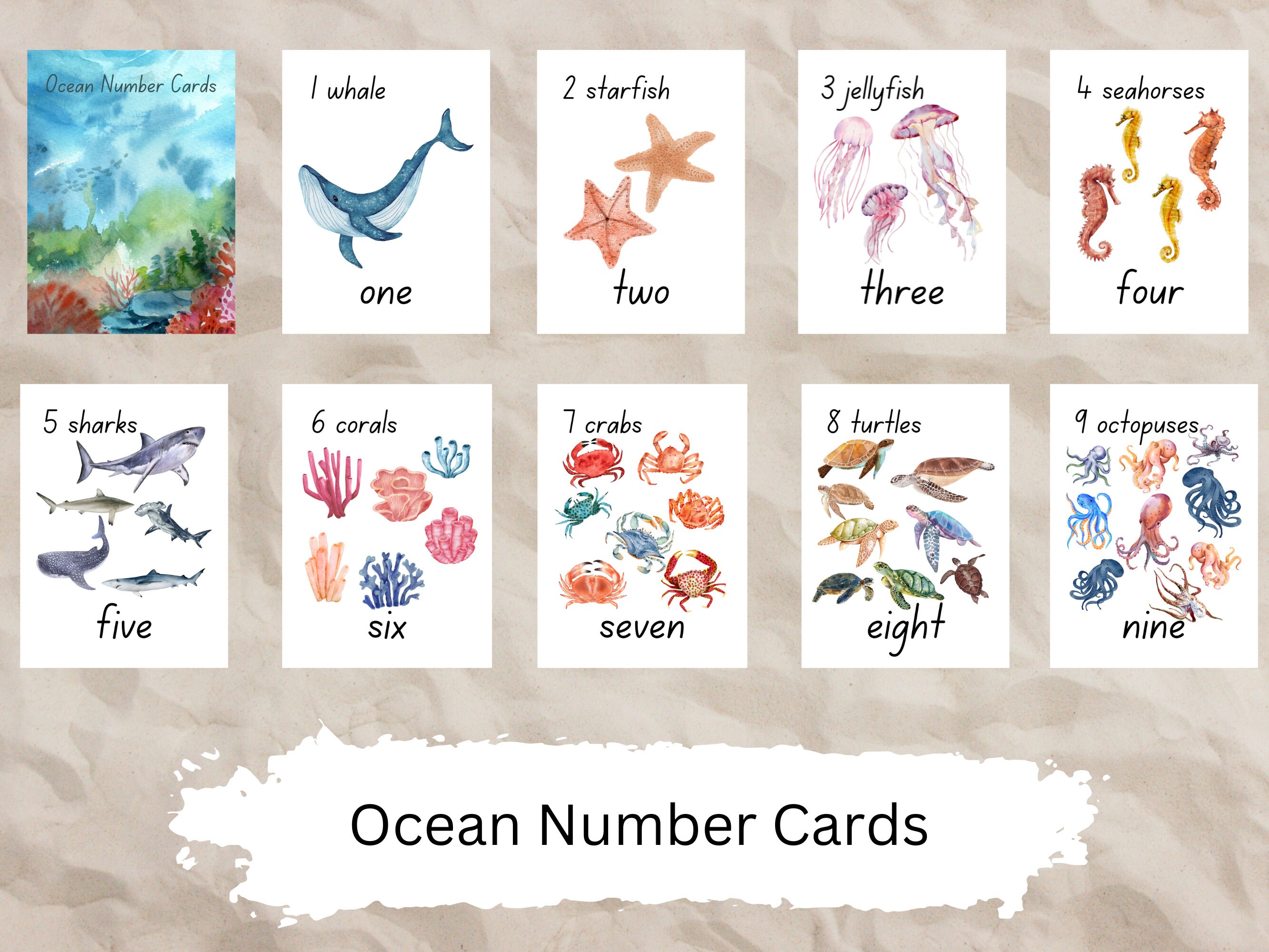 Ocean Bundle / Preschool Nature Bundle / Ocean Flash Cards / - Etsy