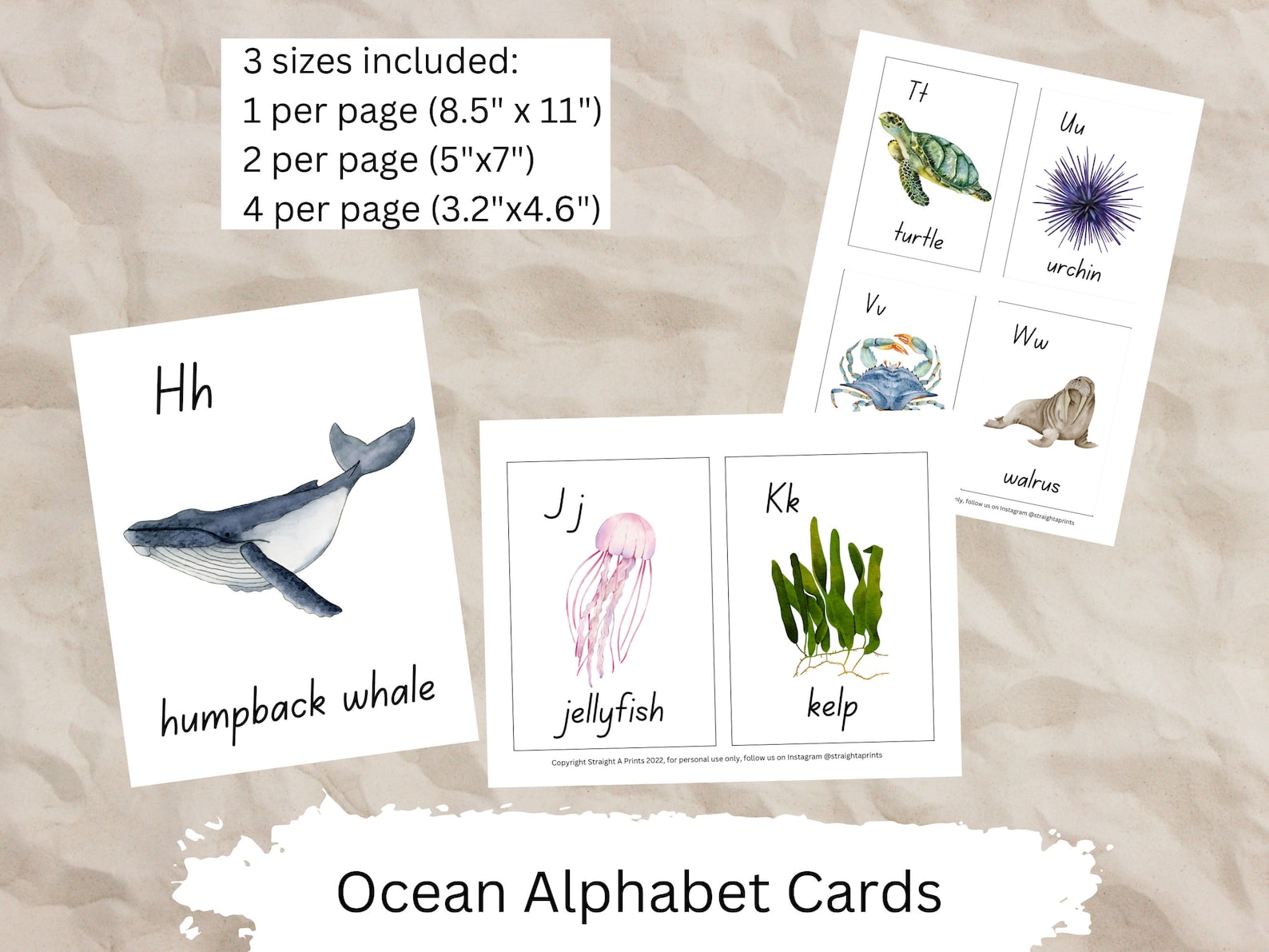 Ocean Alphabet Flash Cards / Ocean Theme Flashcards / ABC Cards ...