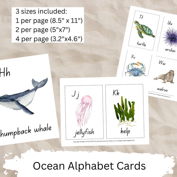 Ocean Alphabet - Etsy