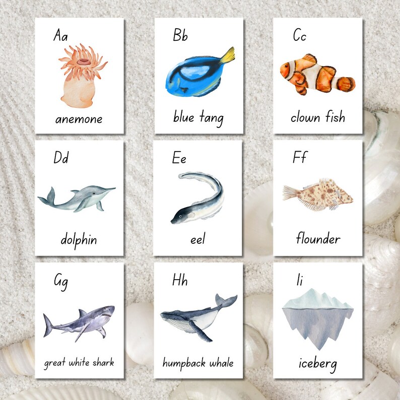 Ocean Alphabet Flash Cards Ocean Theme Flashcards ABC Nature Cards ...