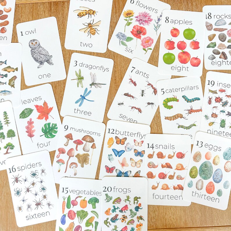 Nature Number Cards Counting Numbers Classroom Math Counting Cards ...