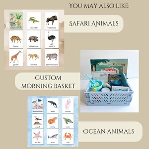 Farm Animal Recognition Cards Farming Prints for Prek and Kindergarten ...