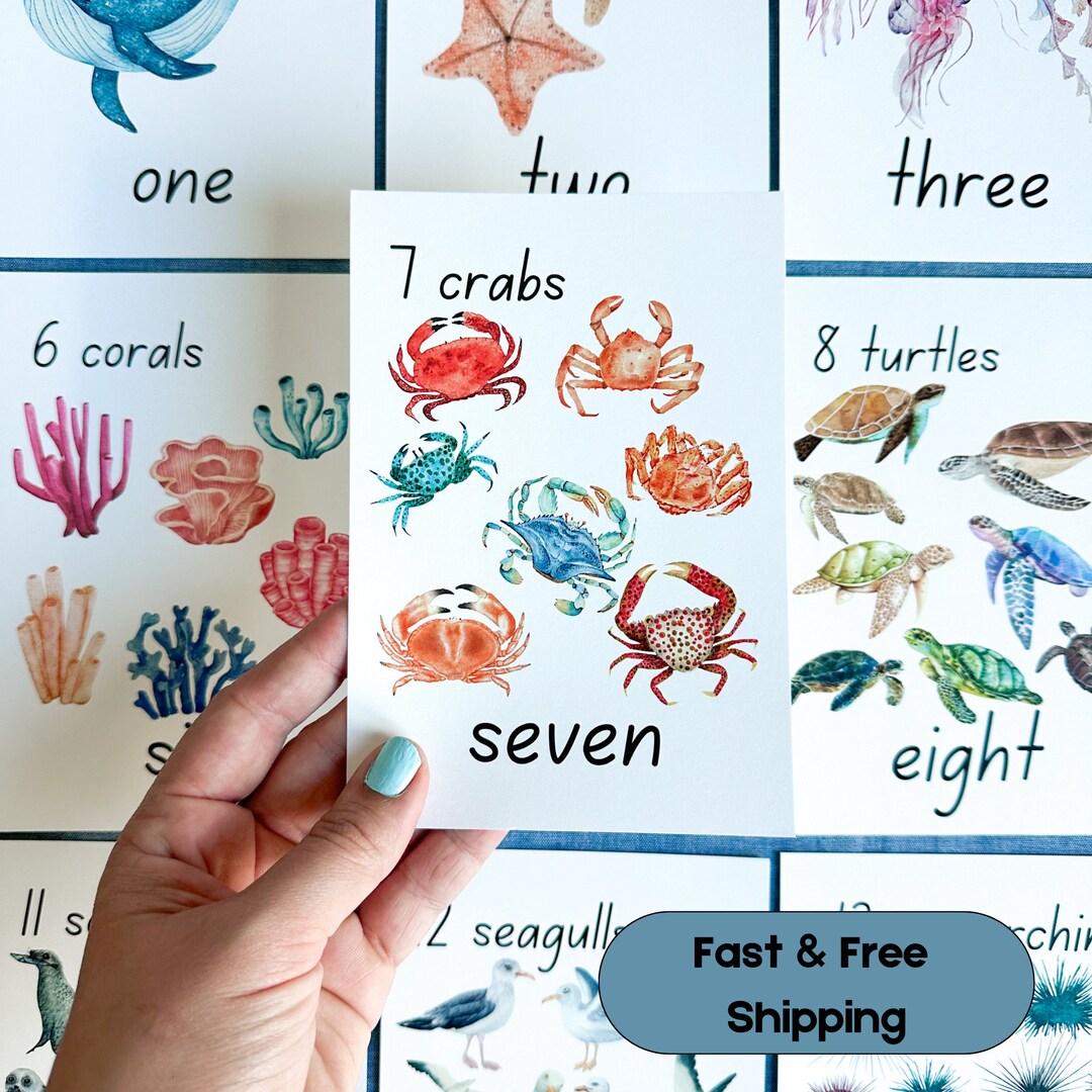 Ocean Number Cards 1-20 Classroom Math Counting Cards Nursery Wall Art ...